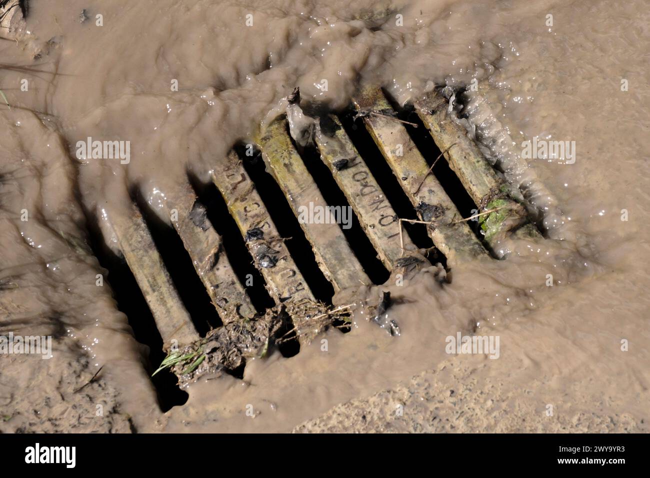 Muddy water flowing down a drain grating Stock Photo - Alamy