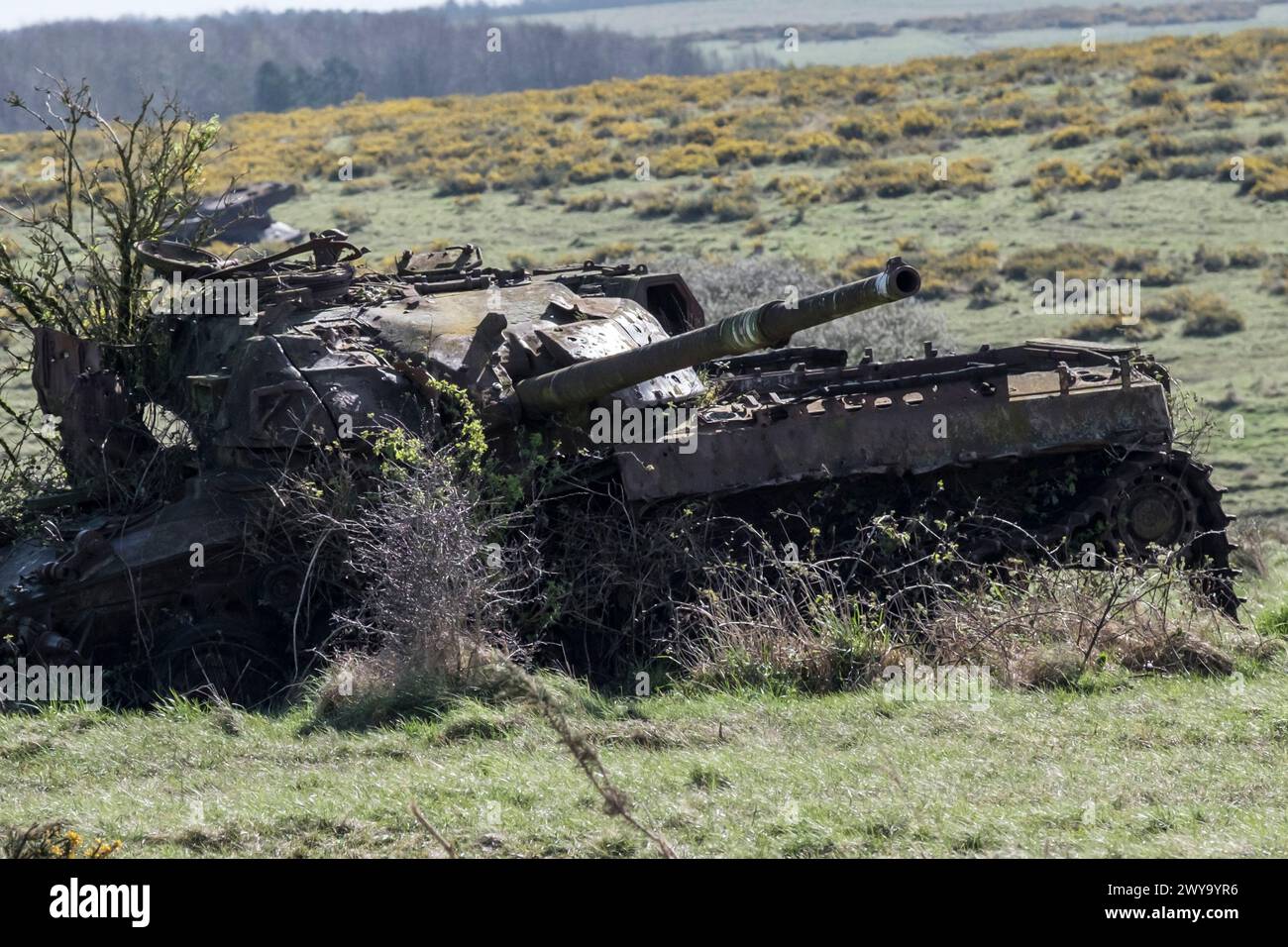 Army tank on salisbury plain hi-res stock photography and images - Alamy