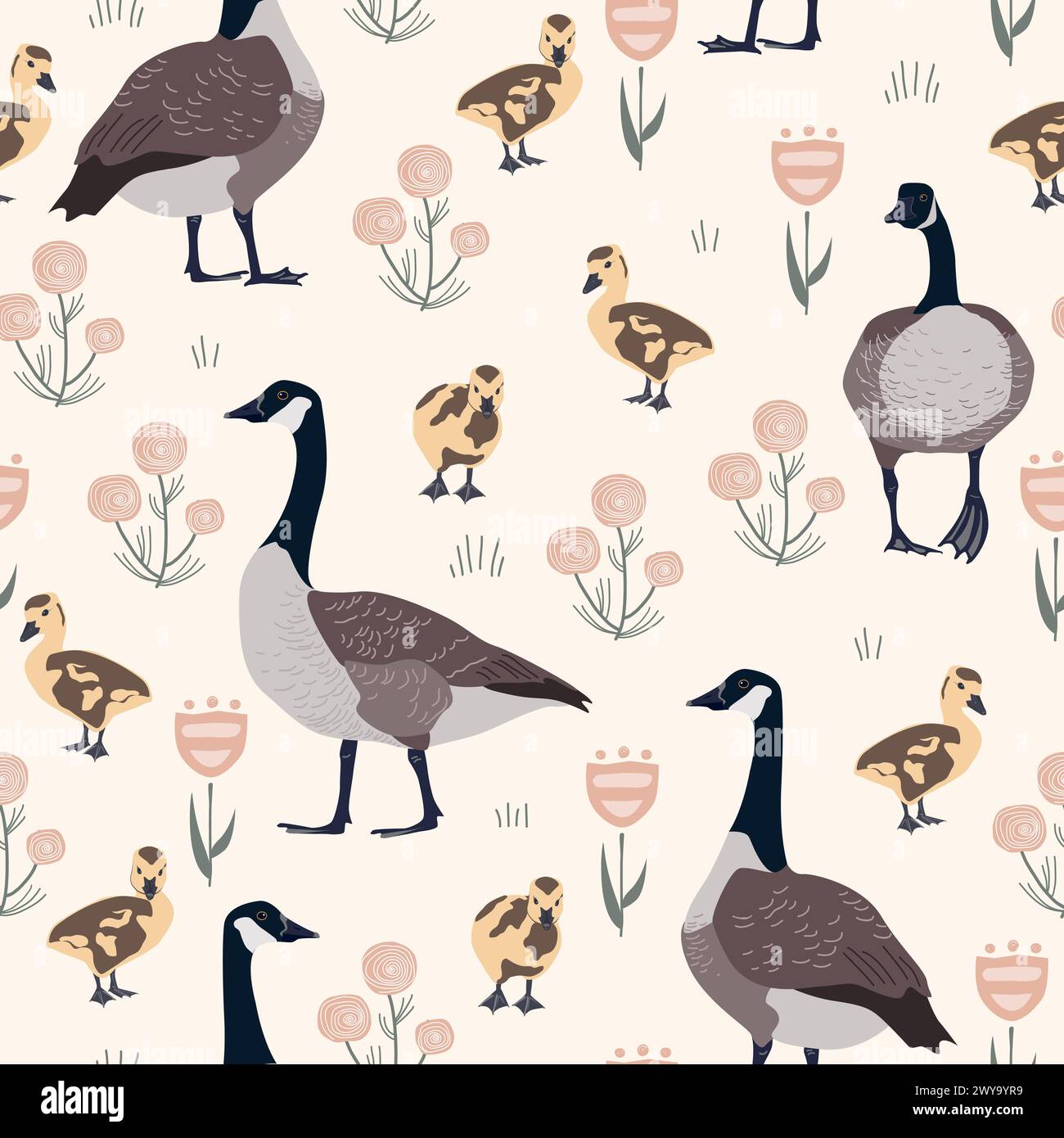 Baby canadian goose Stock Vector Images - Alamy