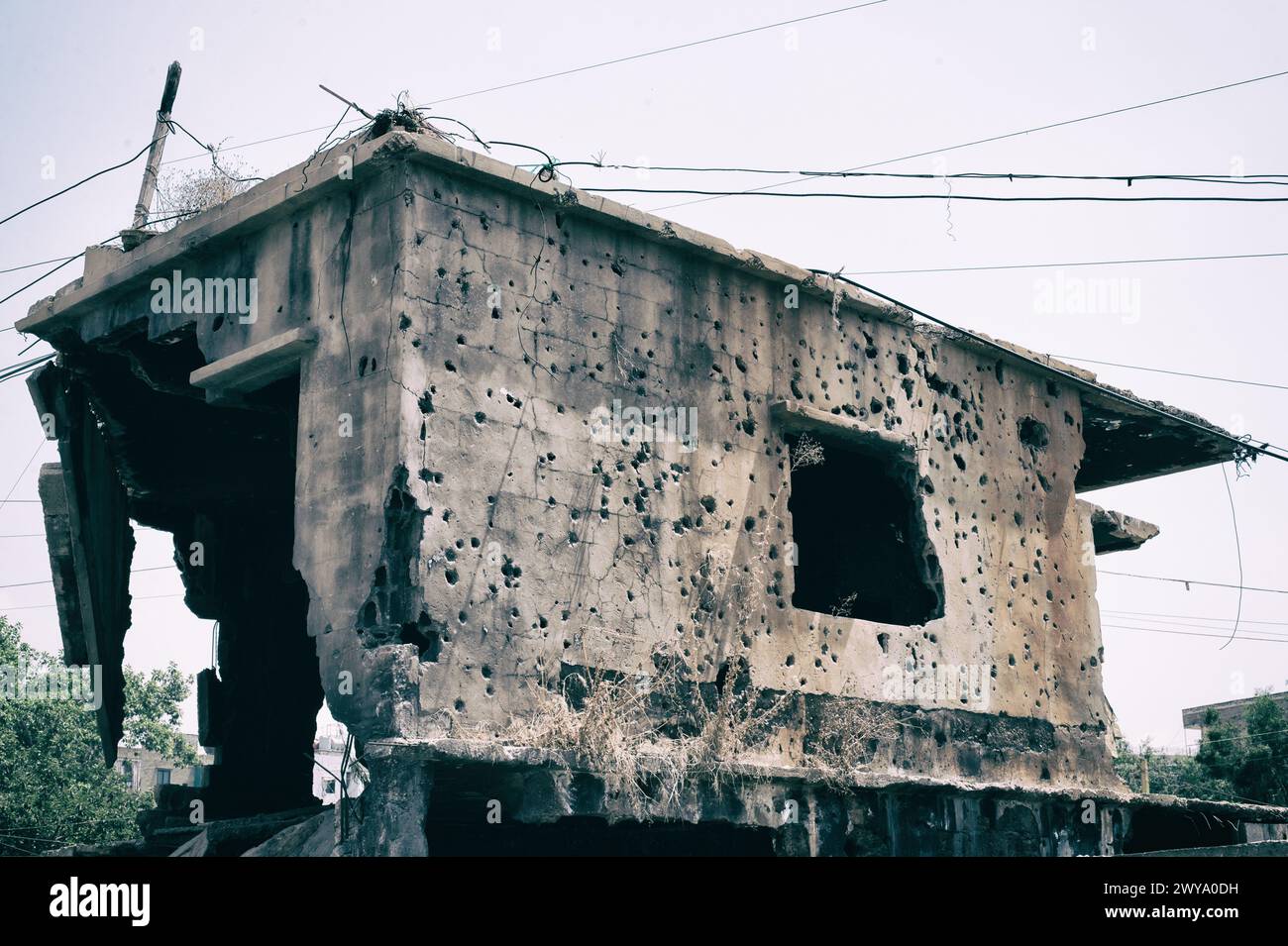 Memory lingers on the scars of conflict, evident in the bullet-riddled ...