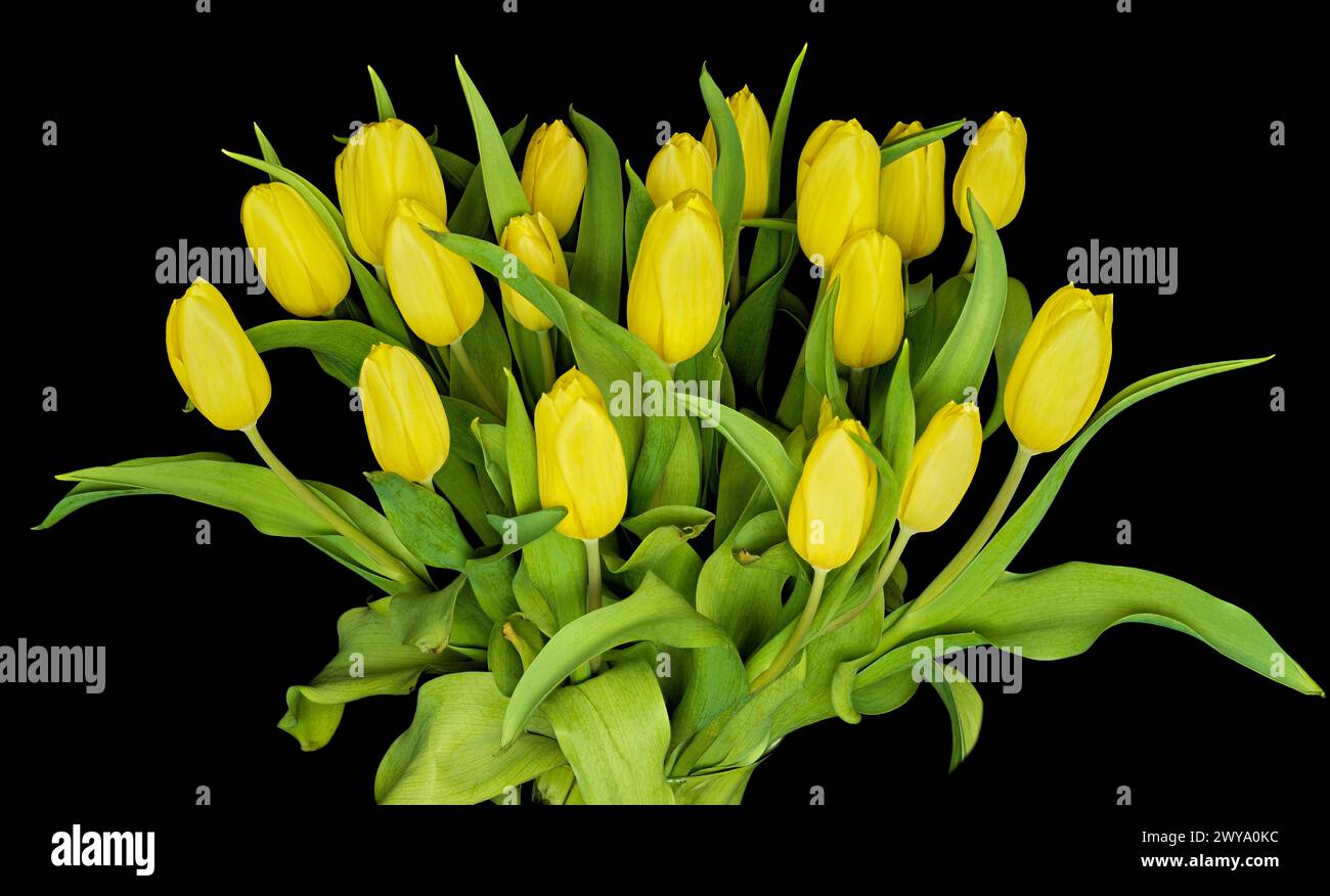 Same bunch hi-res stock photography and images - Alamy