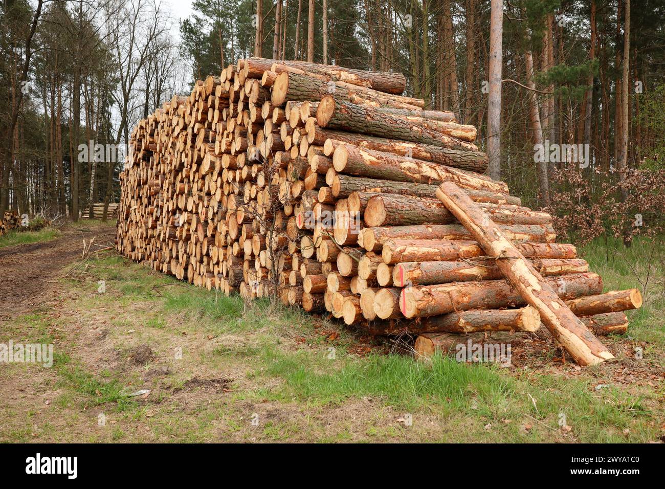 wood on pile texture background Stock Photo - Alamy