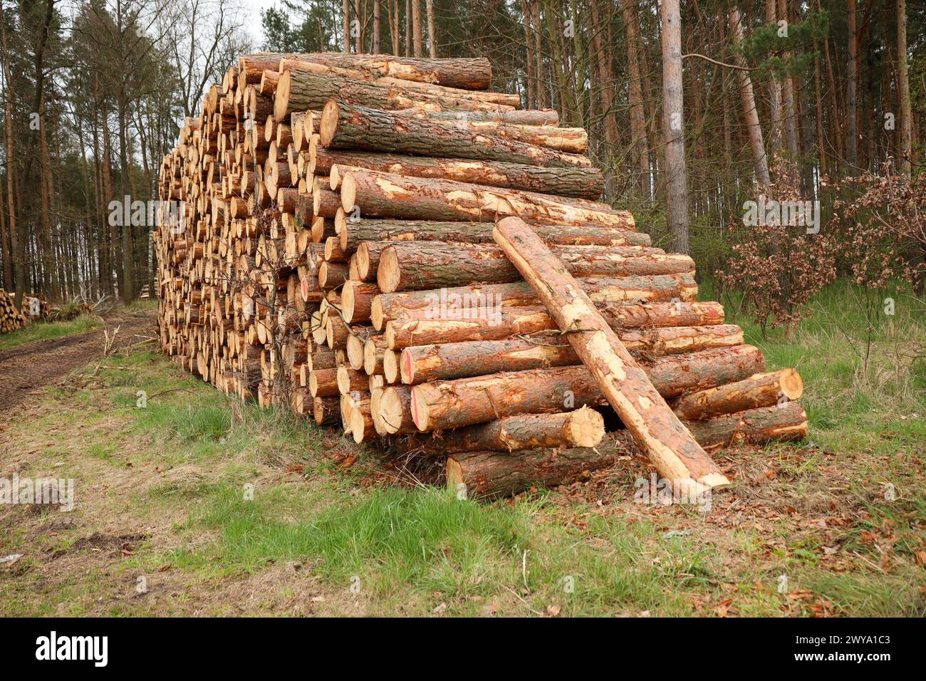 wood on pile texture background Stock Photo - Alamy