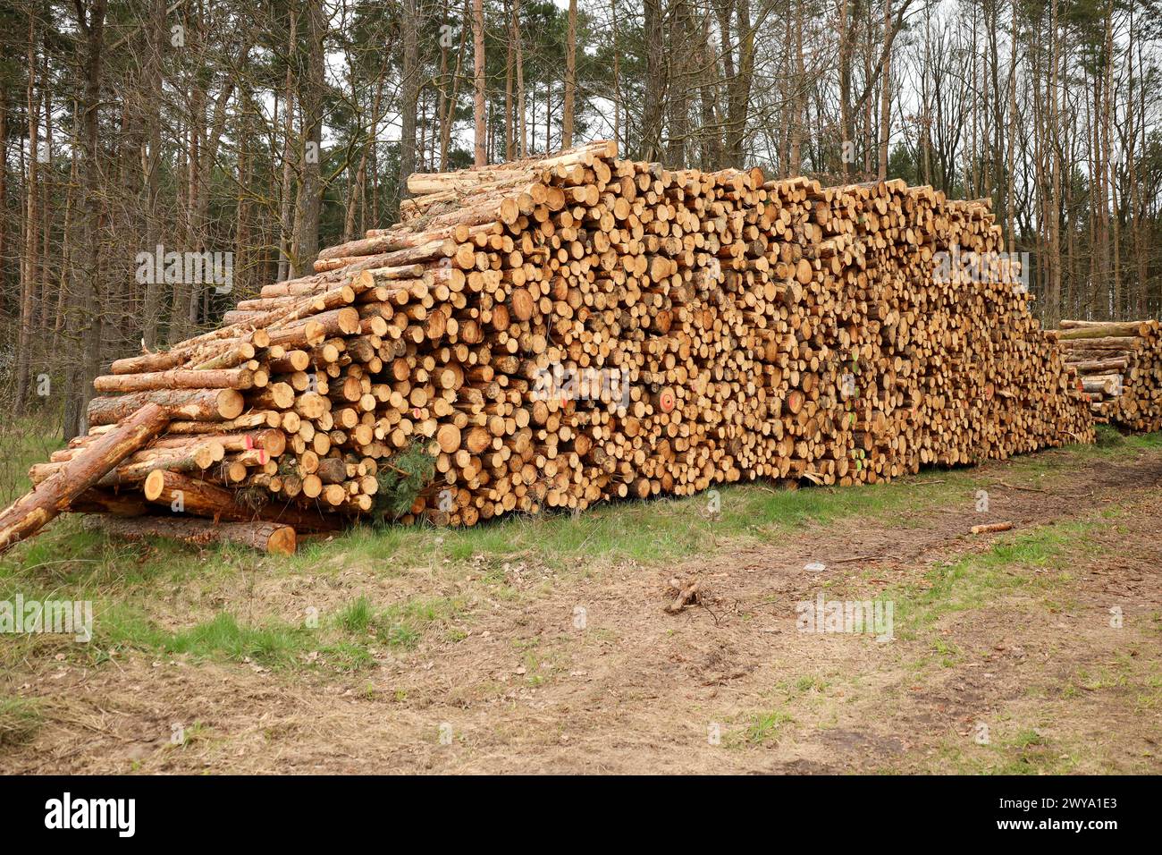 wood on pile texture background Stock Photo - Alamy