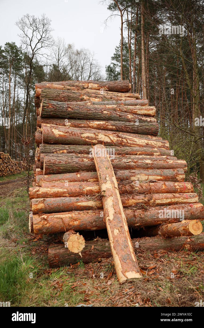 wood on pile texture background Stock Photo - Alamy