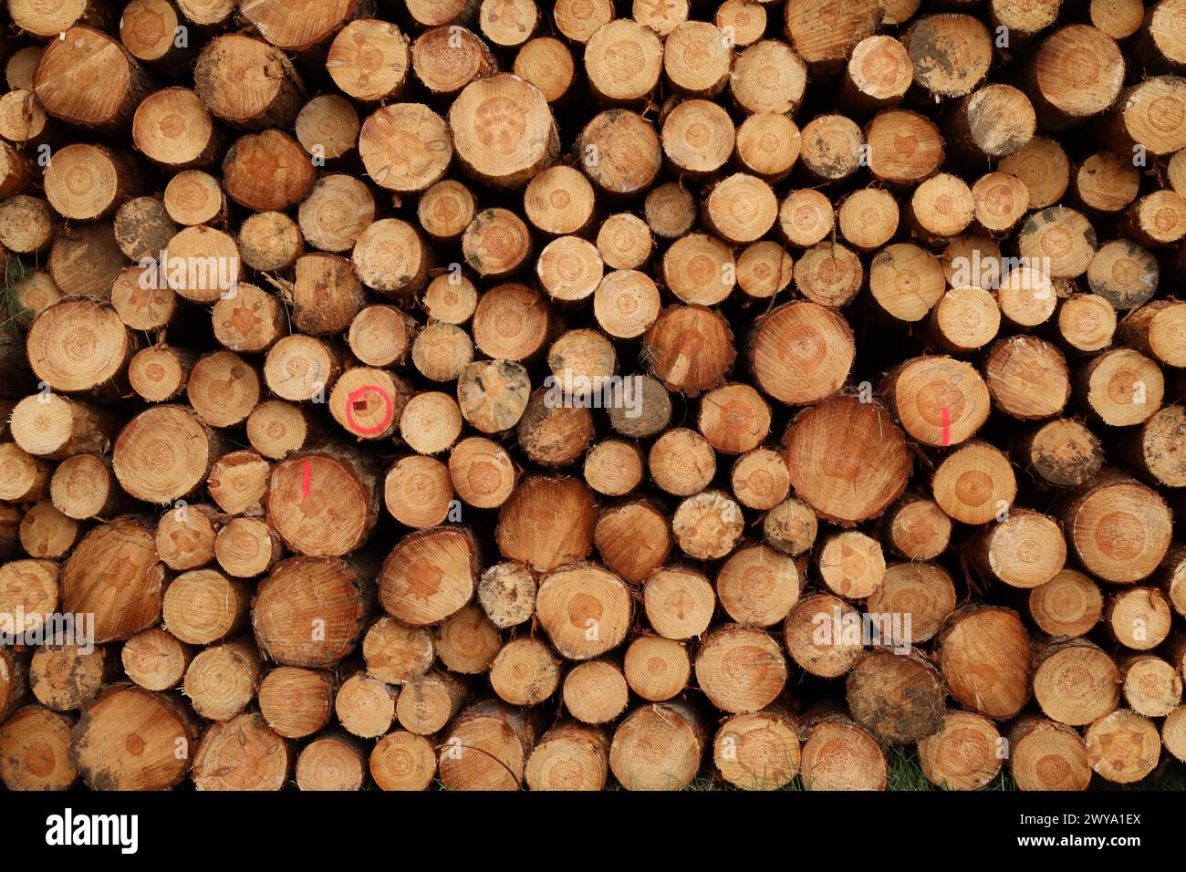 wood on pile texture background Stock Photo - Alamy