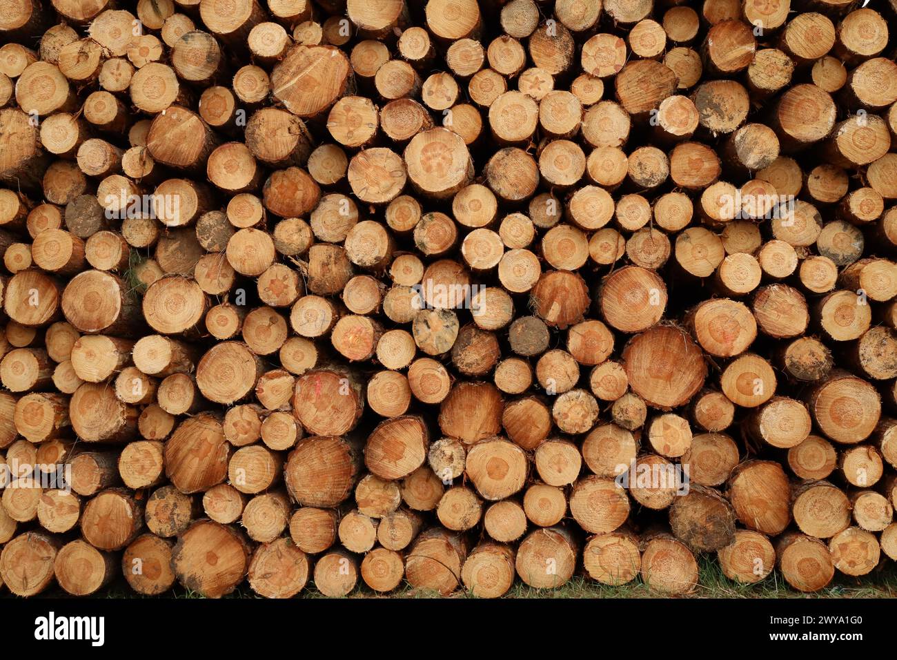 wood on pile texture background Stock Photo - Alamy