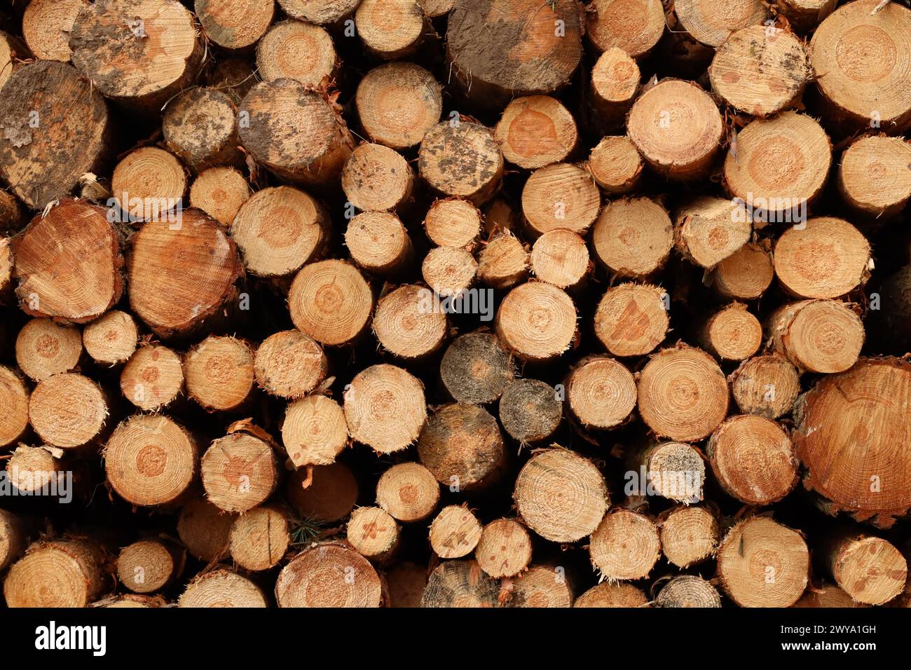 wood on pile texture background Stock Photo - Alamy