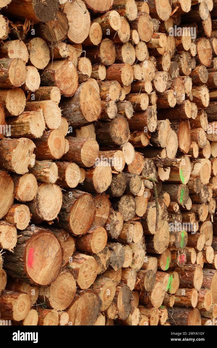 wood on pile texture background Stock Photo - Alamy