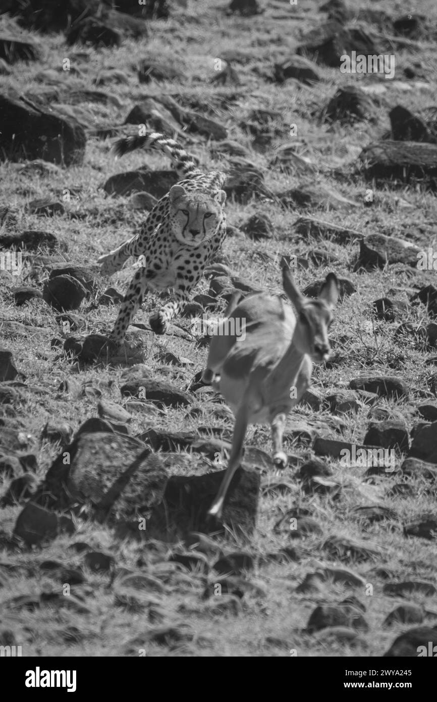 Sunlight slope Black and White Stock Photos & Images - Alamy