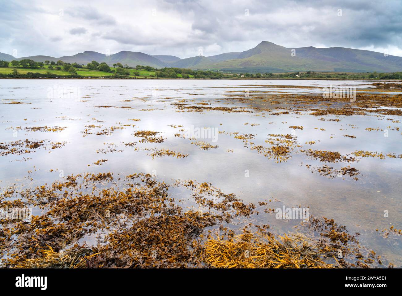 Cloghane river hi-res stock photography and images - Alamy