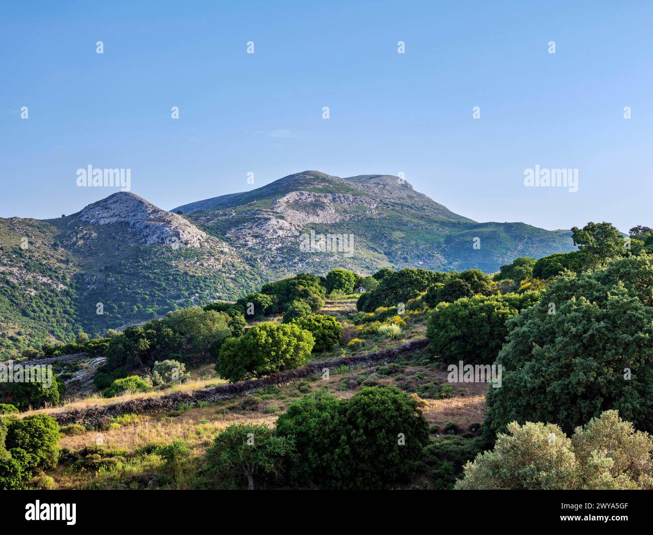 View towards the Mount Zas Zeus, Naxos Island, Cyclades, Greek Islands ...