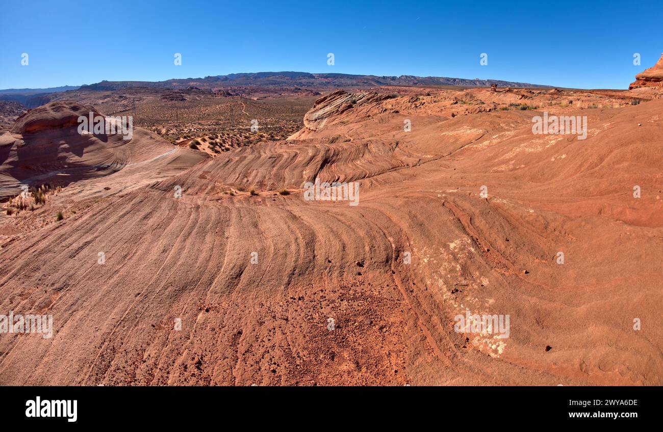 A wavy sandstone hill, a fossilized sand dune, at Ferry Swale in the ...