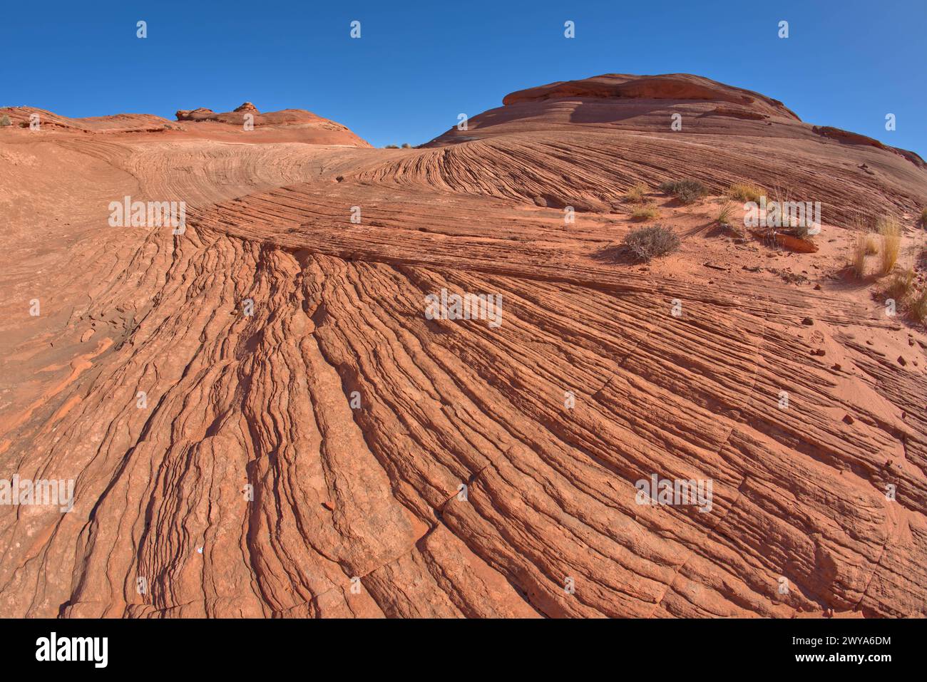 View from the top of a wavy sandstone mesa, a fossilized sand dune, at ...