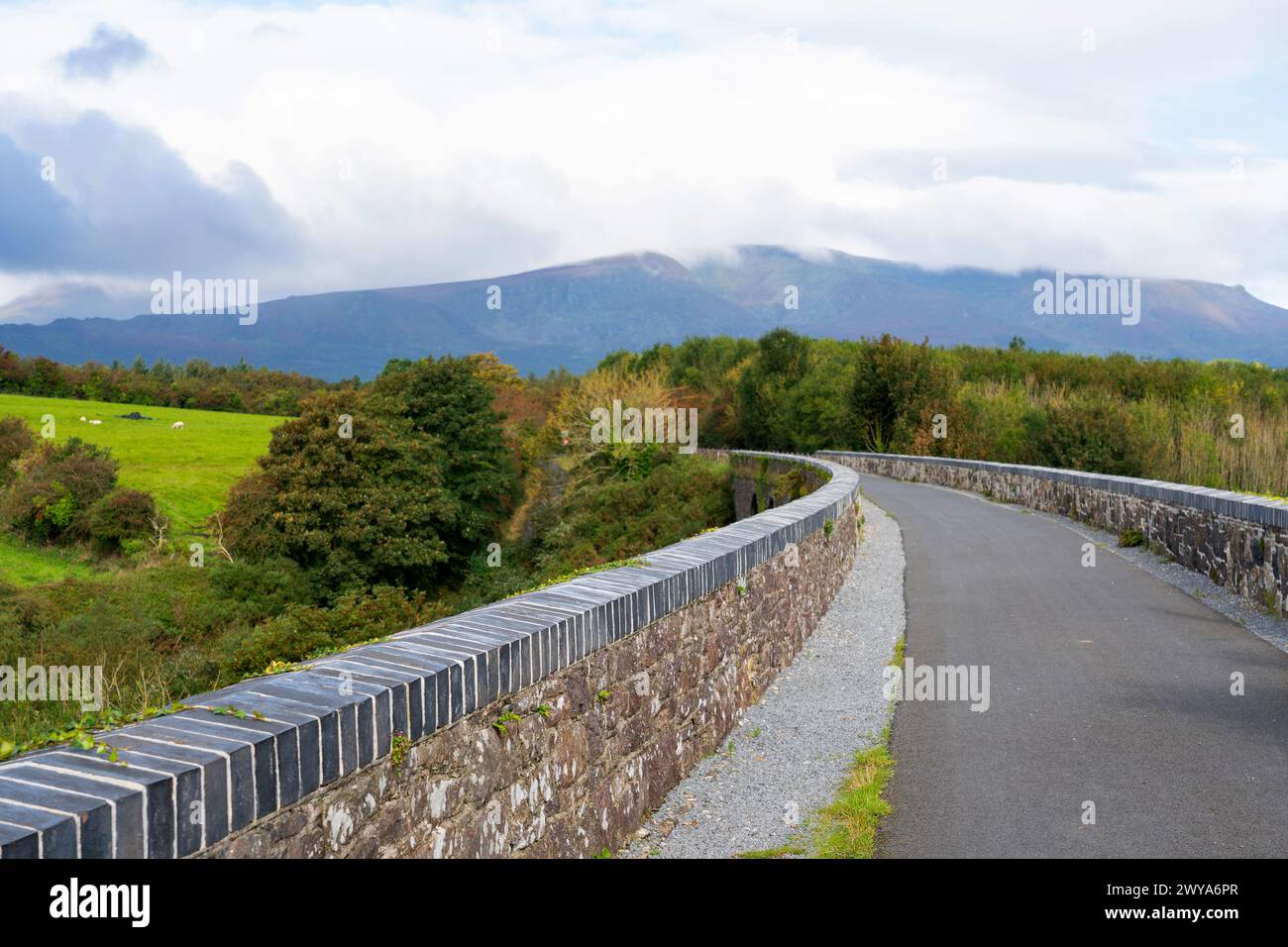 Kilmacthomas viaduct, County Waterford, Ireland Stock Photo - Alamy