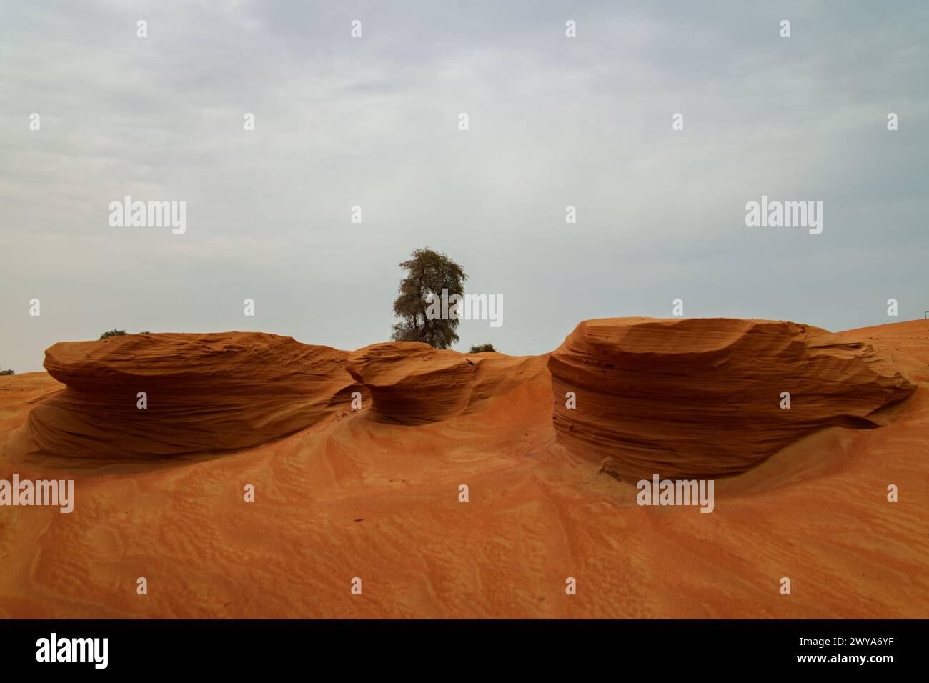 A massive rock formation with small plant life clinging to its sides in ...