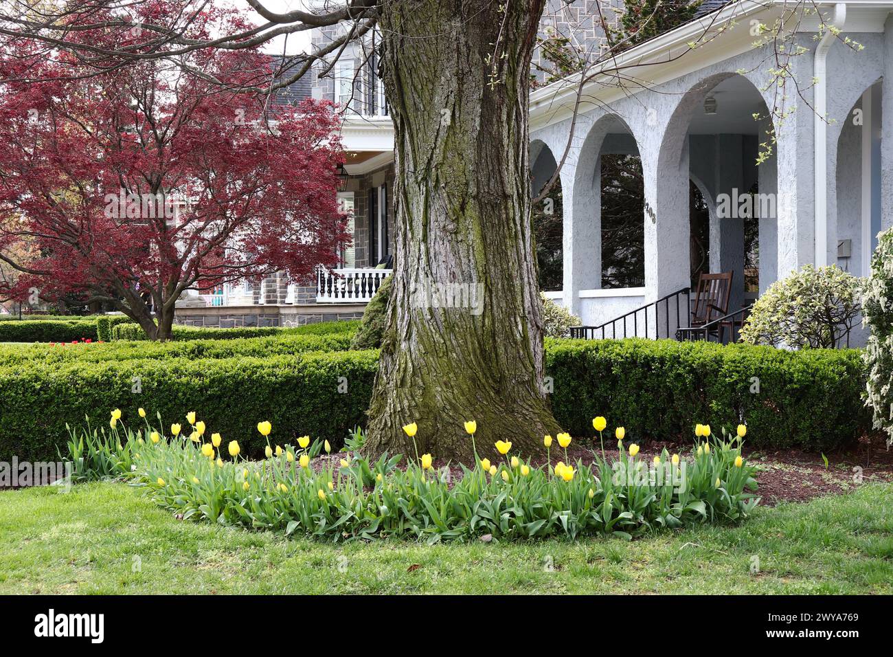 Beautiful garden flowers mansion hi-res stock photography and images ...