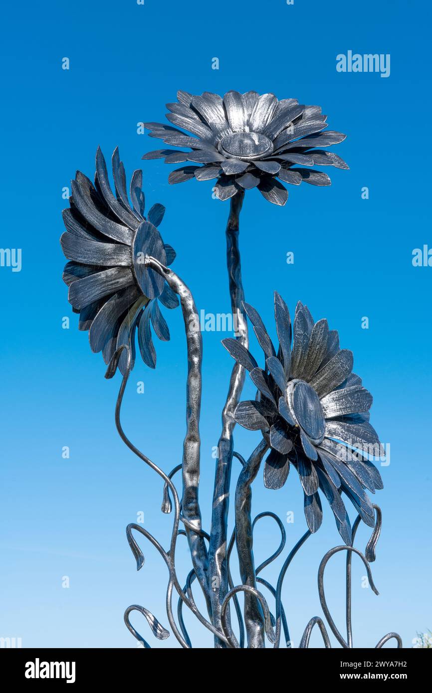 Shasta Daisy sculpture in honour of Vera Casey in Rosslare, County ...