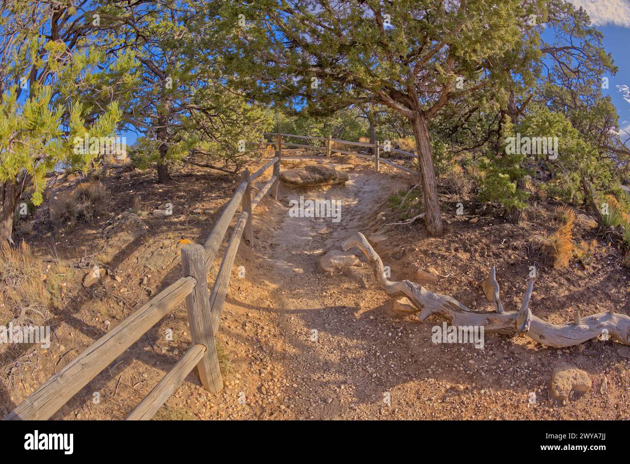 The rim trail at Grand Canyon heading east toward Powell Point from ...