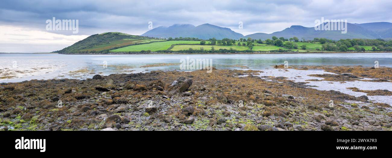 Panoramic view of the Owenmore estuary, Cloghane, Dingle Peninsula ...