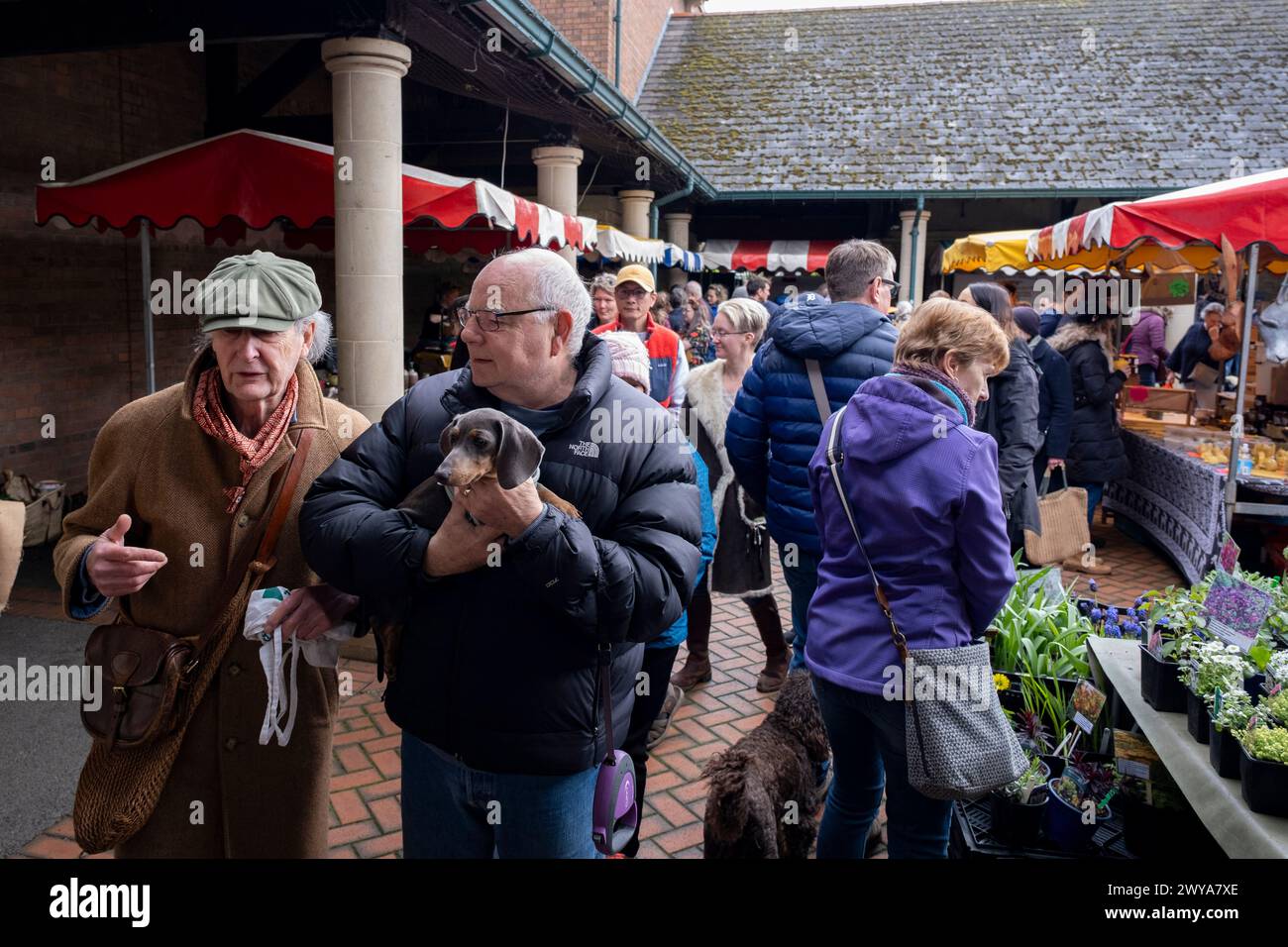 People and their dogs at Stroud Farmers Market on 30th March 2024 in ...