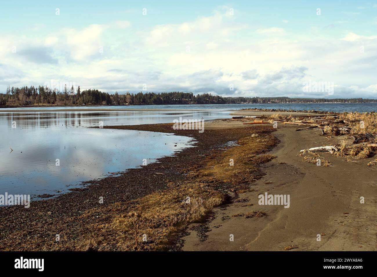 A long spit reaching out into the ocean covered in dried grasses and ...