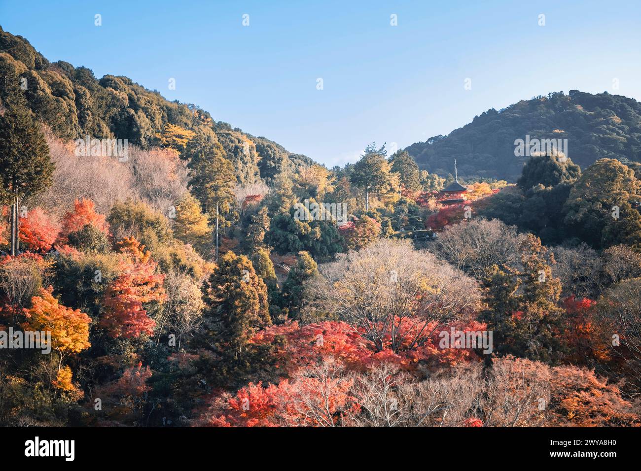 Kiyomizu-dera Buddhist Temple garden and Koyasunoto Pagoda in autumn ...