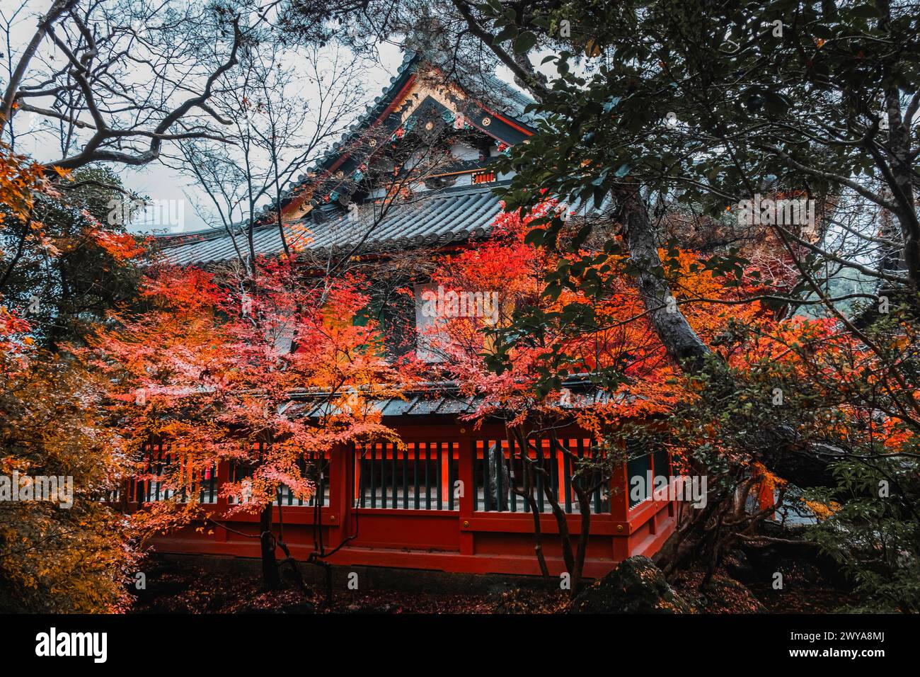 Bishamon-do Buddhist temple with autumn colors, Kyoto, Honshu, Japan ...