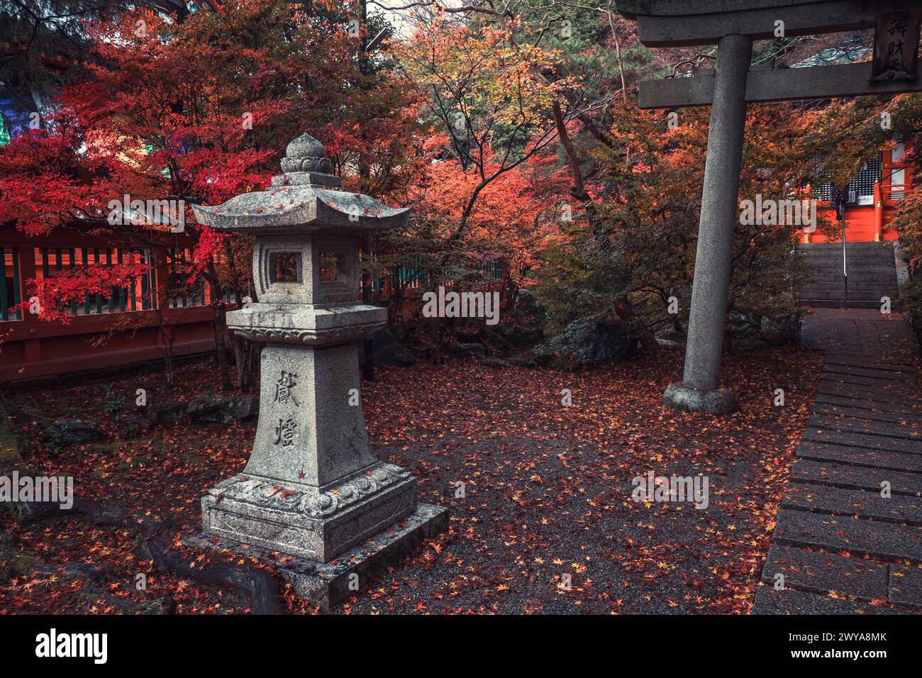 A shrine in Bishamon-do Buddhist temple with autumn colors, Kyoto ...