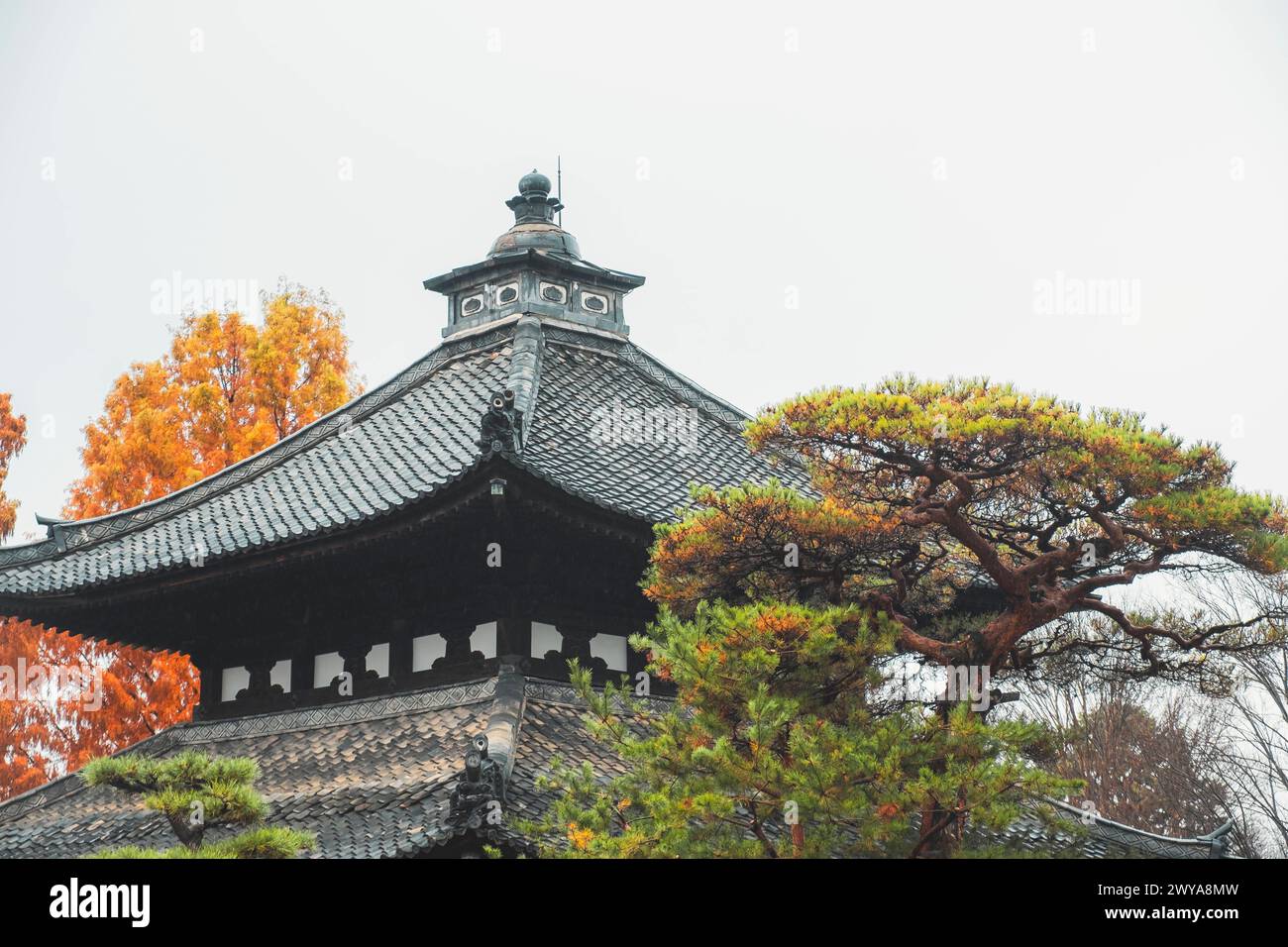 Tofuku-ji Buddhist Temple roof detail, Kyoto, Honshu, Japan, Asia ...
