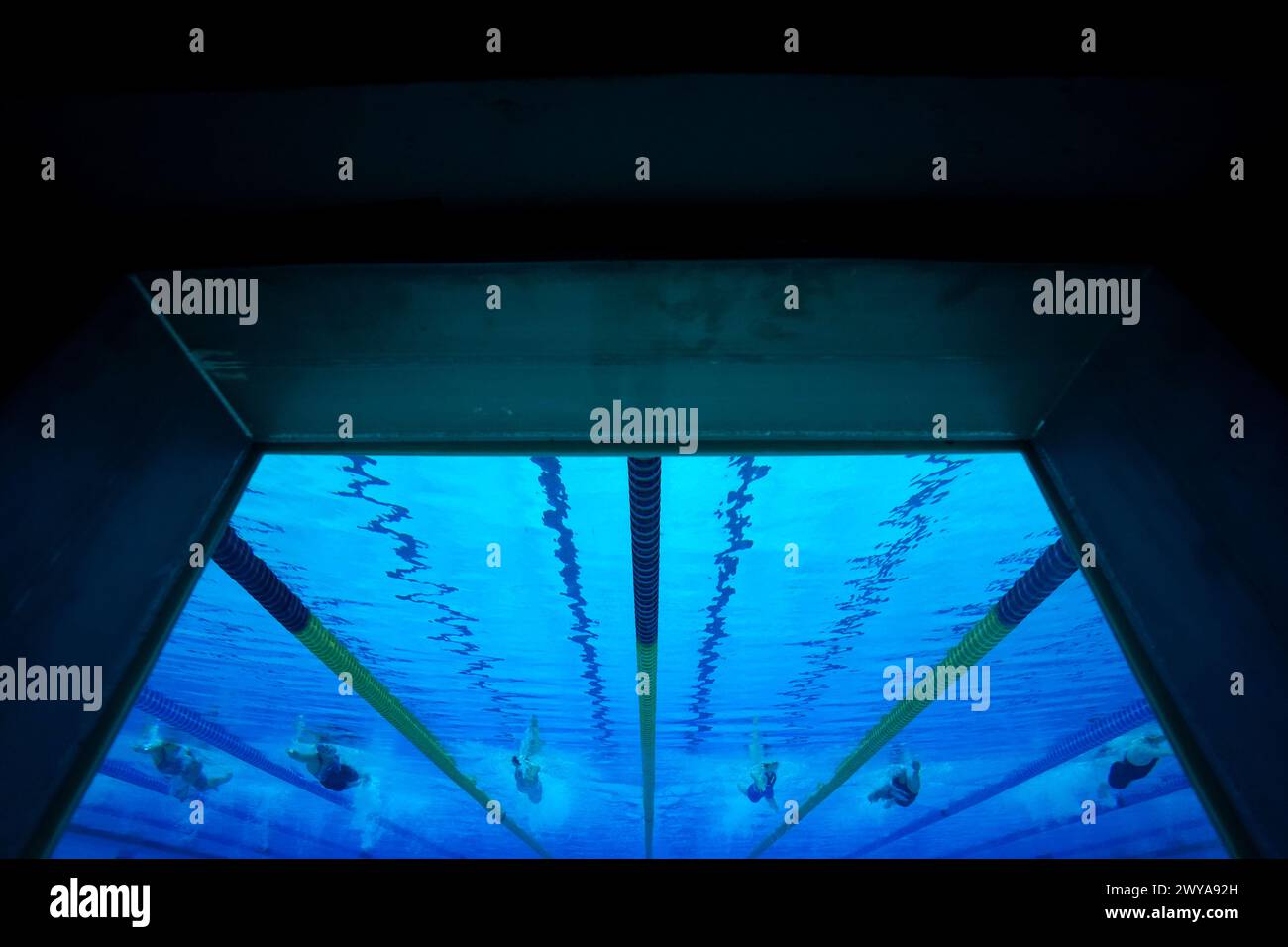 A general view of racing from an underwater position during day four of ...