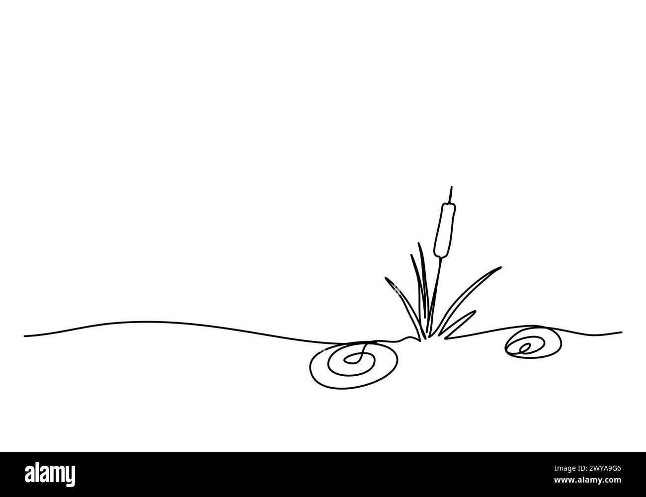 Reed or marsh hornwort. One line drawing vector illustration Stock ...