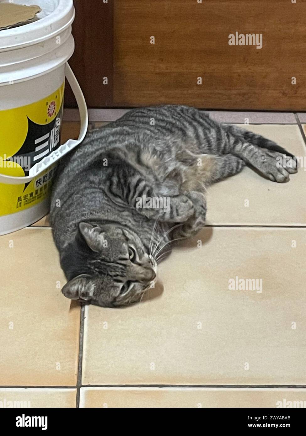 Bucket on floor hi-res stock photography and images - Alamy