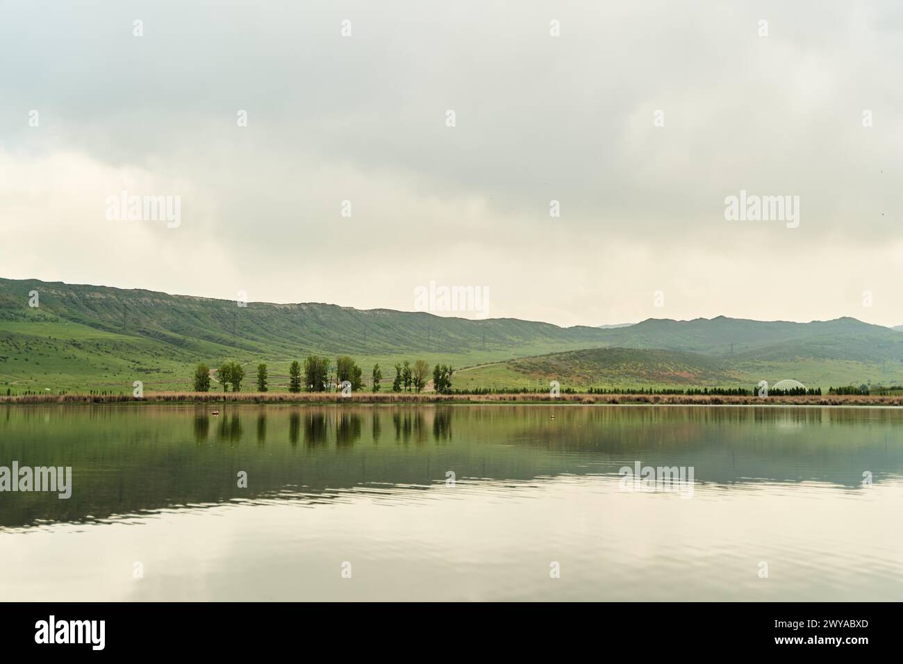 View of the beautiful lake Lisi. Lisi Park in Tbilisi, Georgia Stock ...