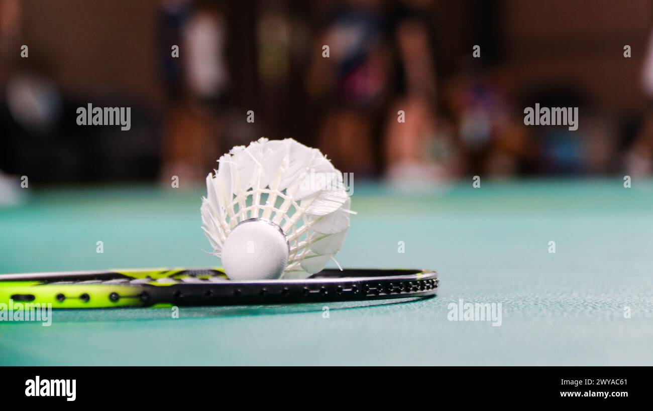 White badminton shuttlecocks and badminton rackets on green floor ...