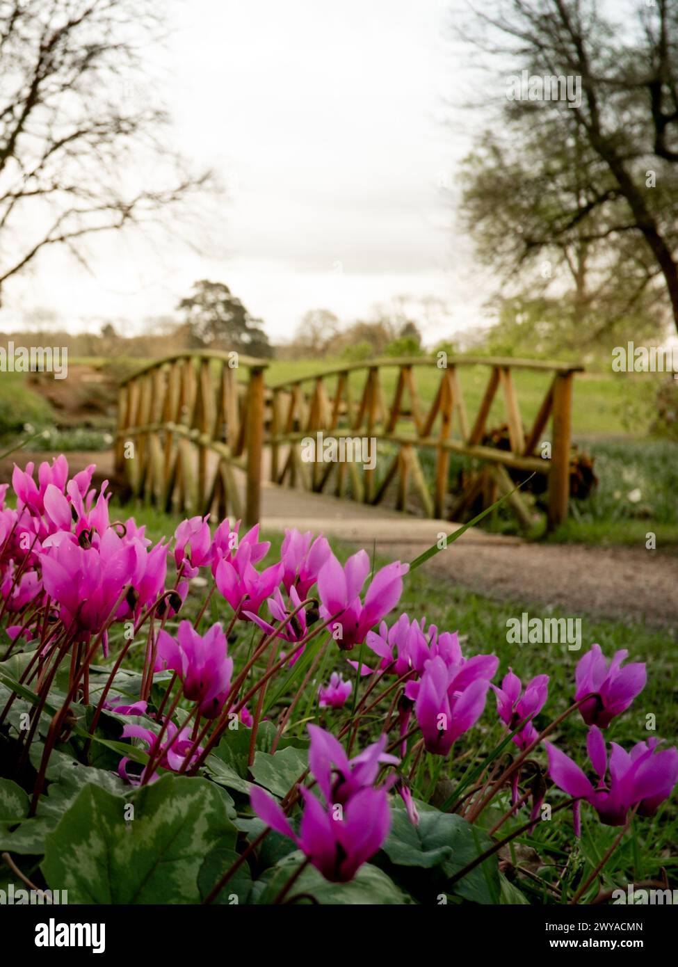 The marquess cholmondeley hi-res stock photography and images - Alamy