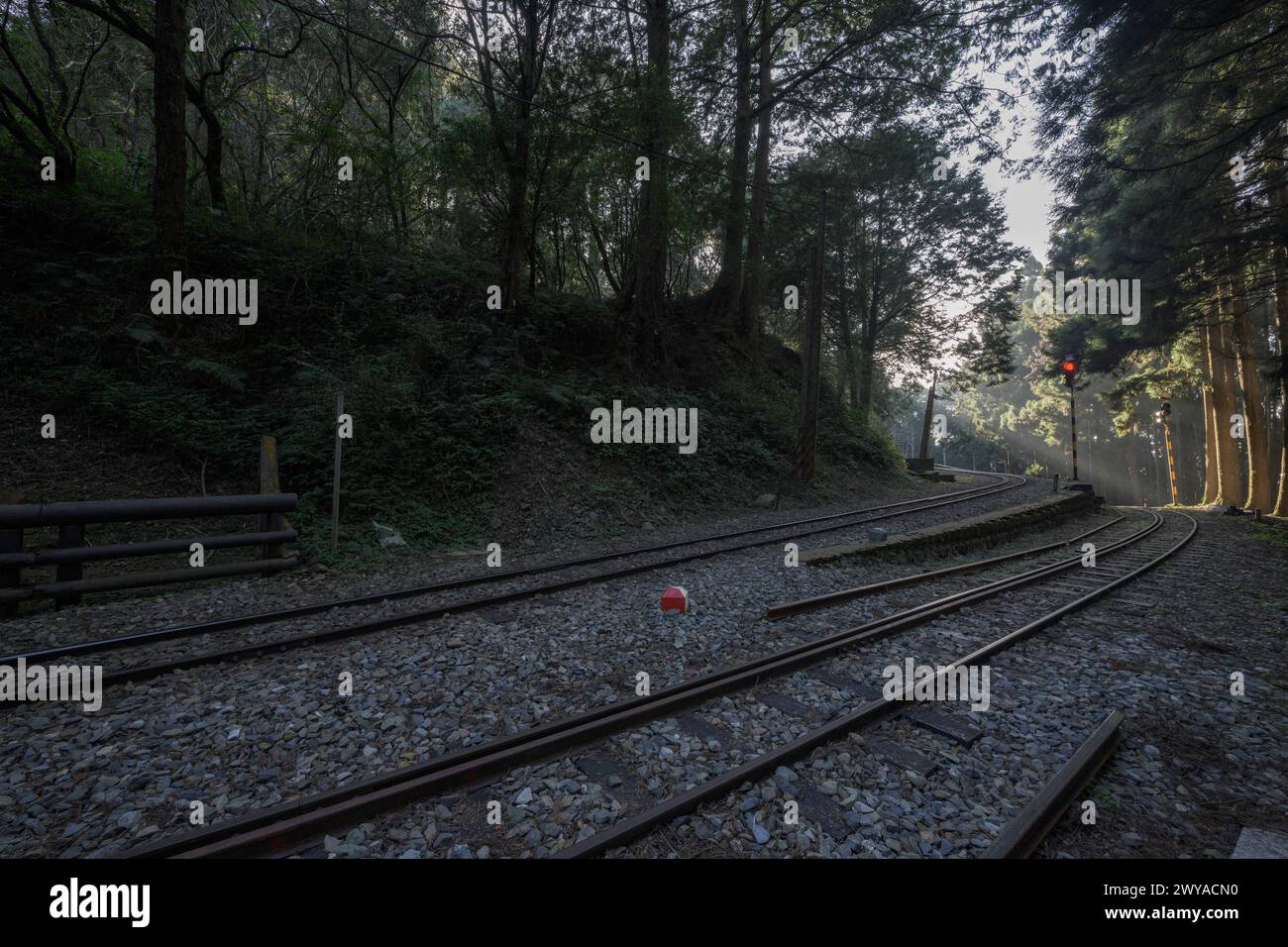 Curved railway track into misty woods with light beams piercing through ...