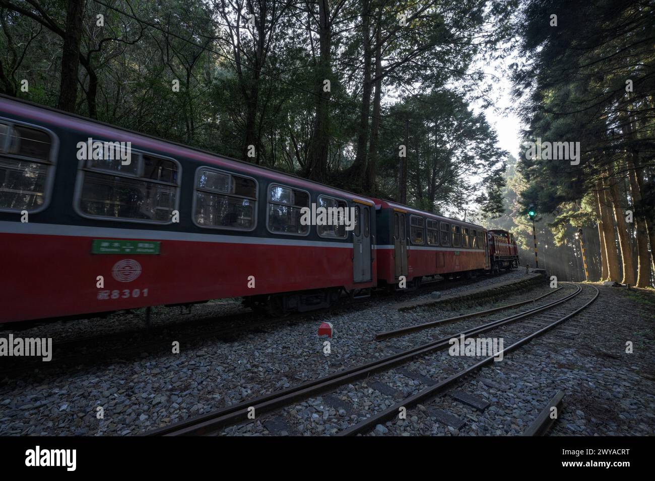 An old-fashioned train travels on a curved railway track through misty woods with light beams ...