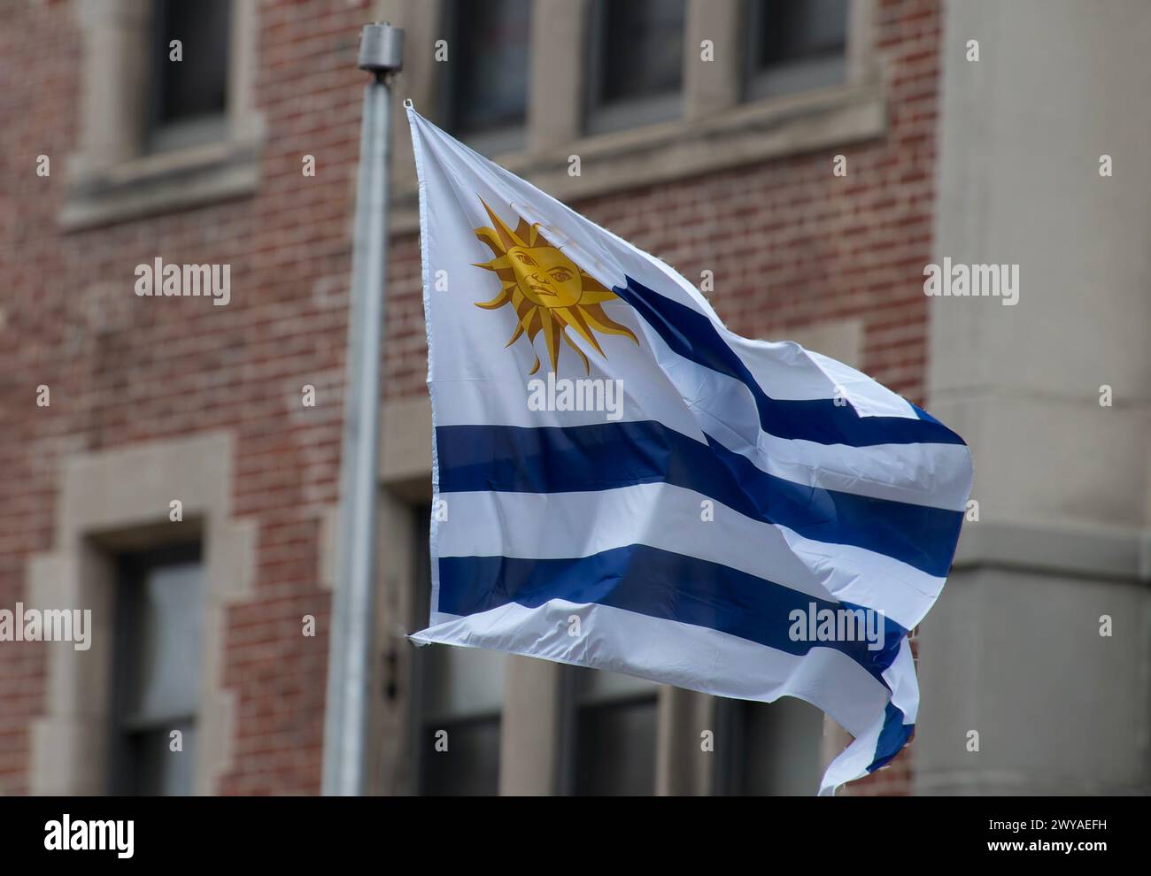 Bandera uruguay flag hi-res stock photography and images - Alamy
