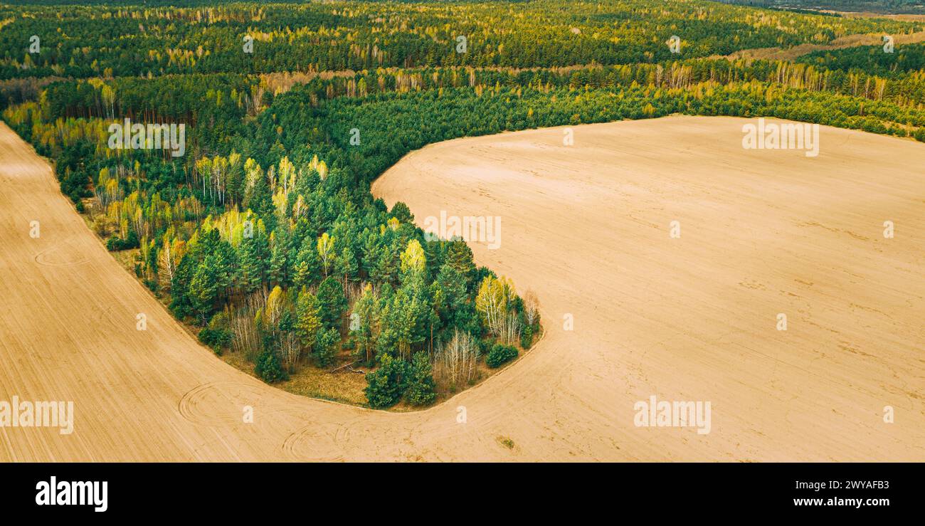 Aerial Top View Of Agricultural Landscape With Growing Forest Trees On ...
