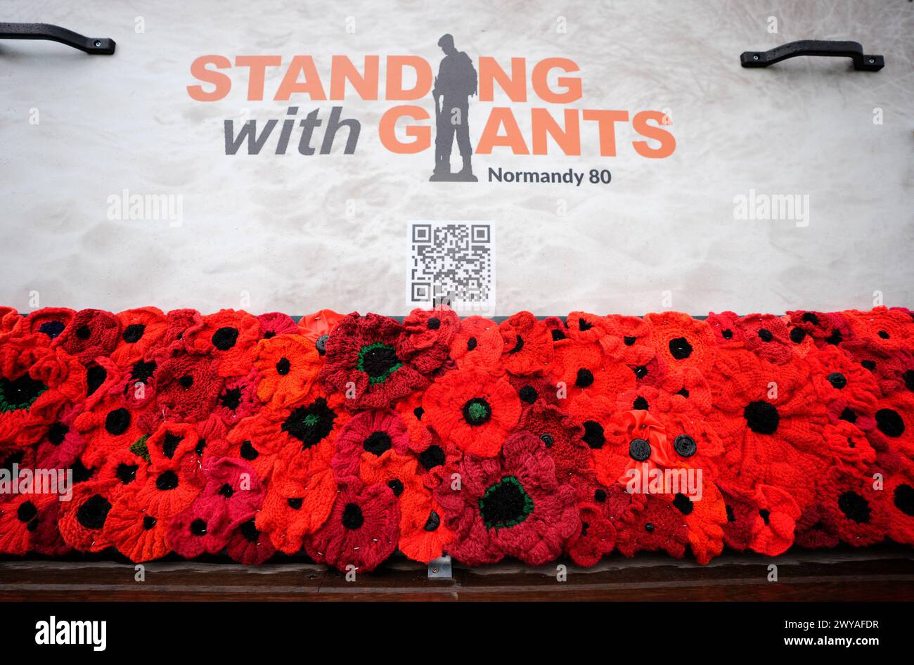 A view of hand knitted poppies on the side of one of the stillages ...