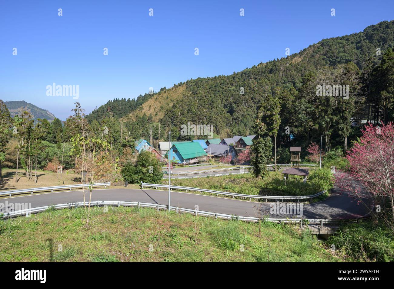 Vibrant roadside greenery along scenic hi-res stock photography and ...