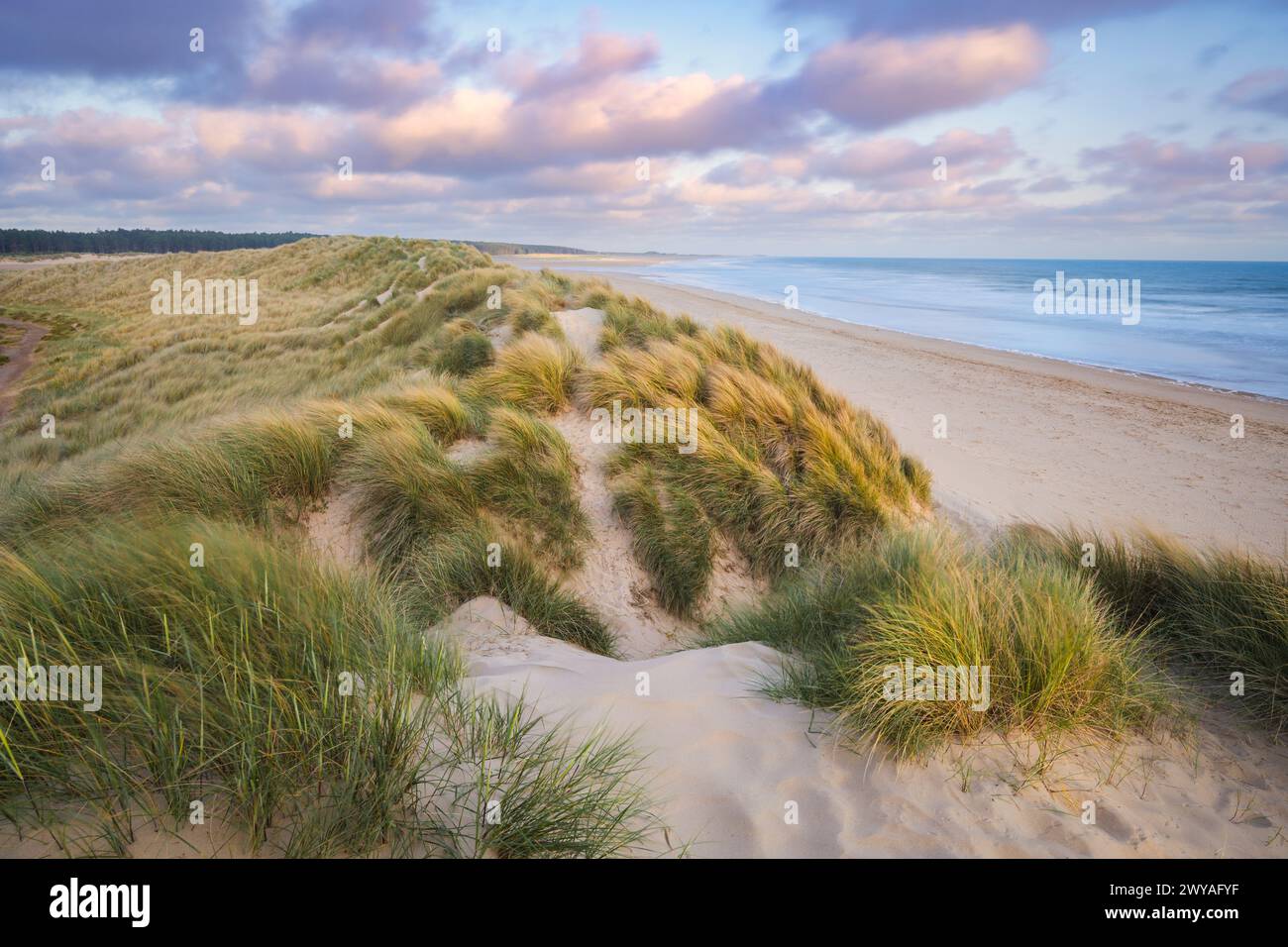 Early morning sky over the sand dunes of Holkham bay Stock Photo - Alamy