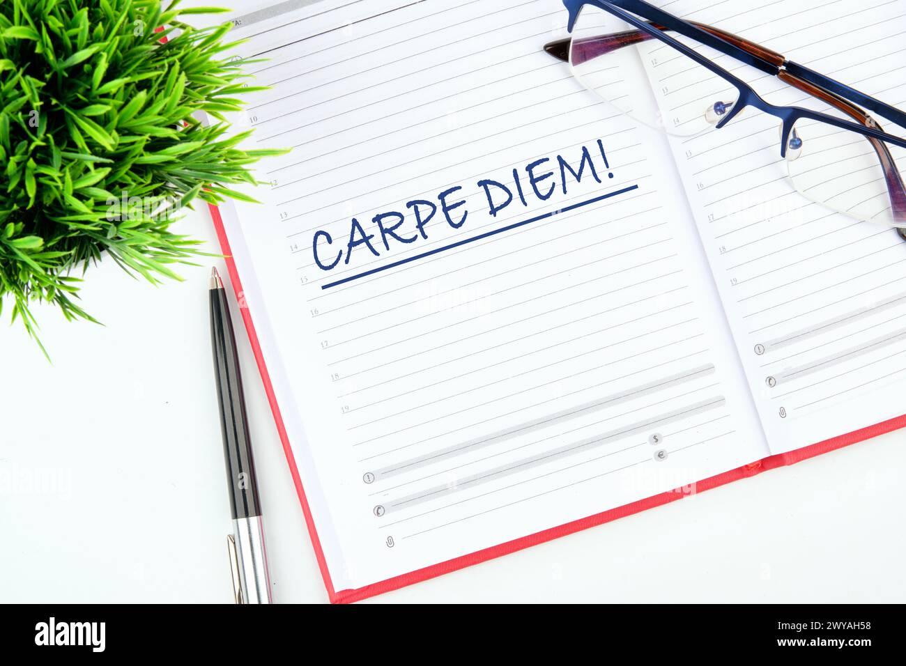 The Latin phrase Carpe Diem, a quote from Horace, means seize the ...