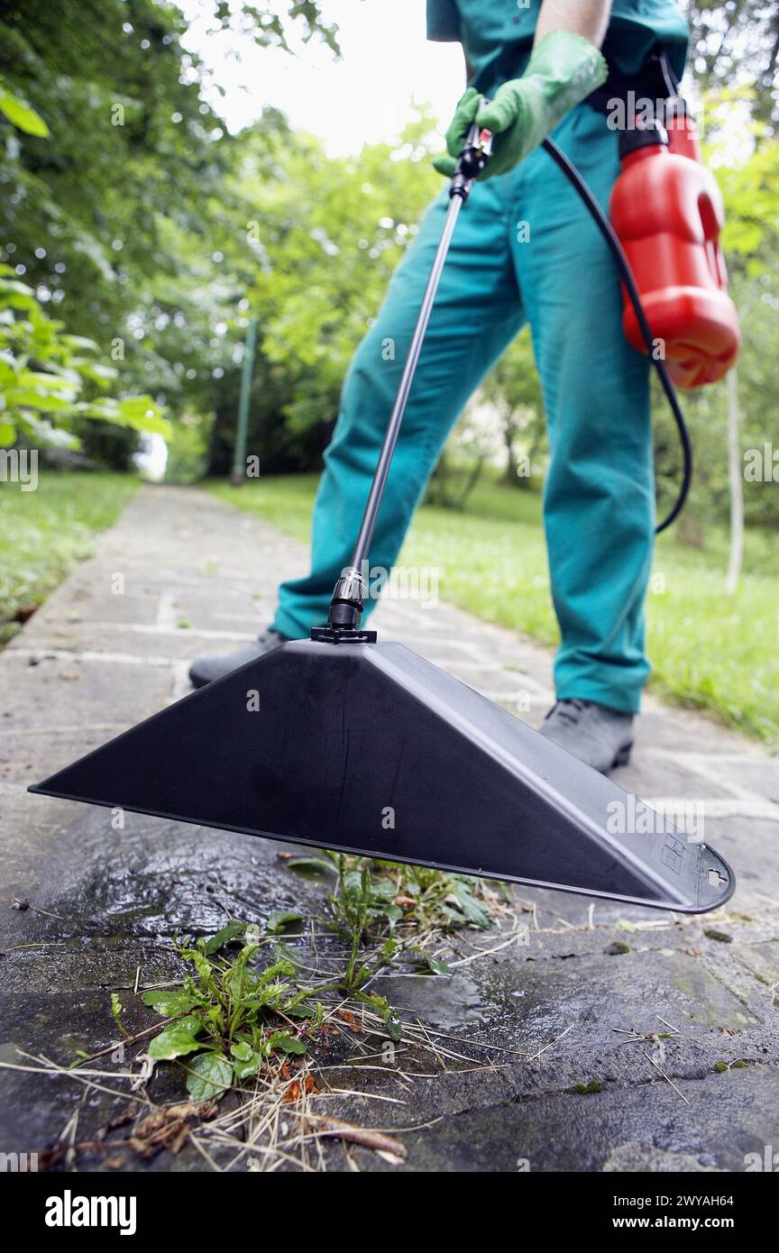 Gardener applying herbicide with bell sprayer Stock Photo - Alamy