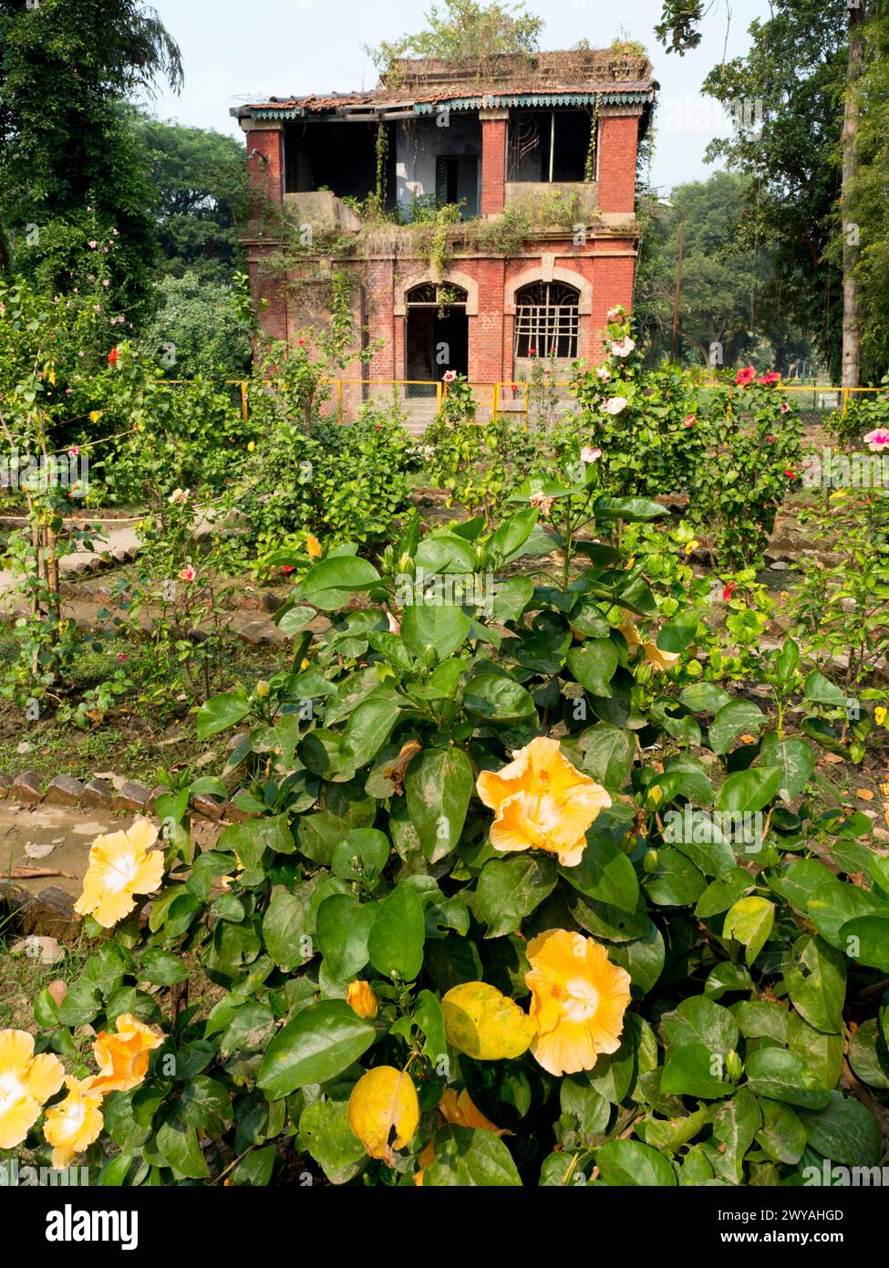 India, Kolkata, Botanical Gardens Stock Photo - Alamy