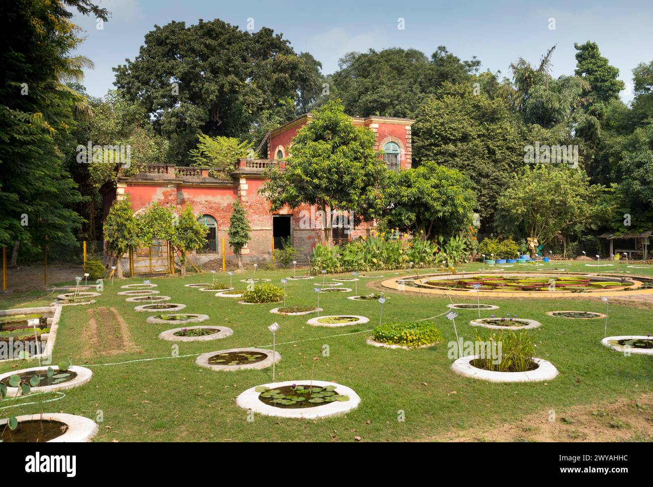 India, Kolkata, Botanical Gardens Stock Photo - Alamy