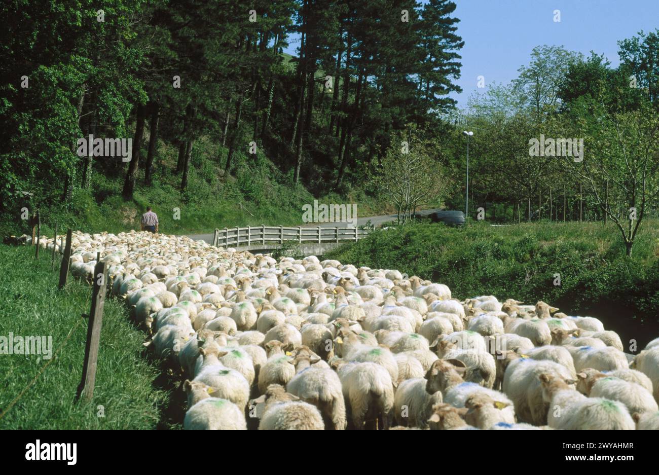 Basque shepherds hi-res stock photography and images - Alamy