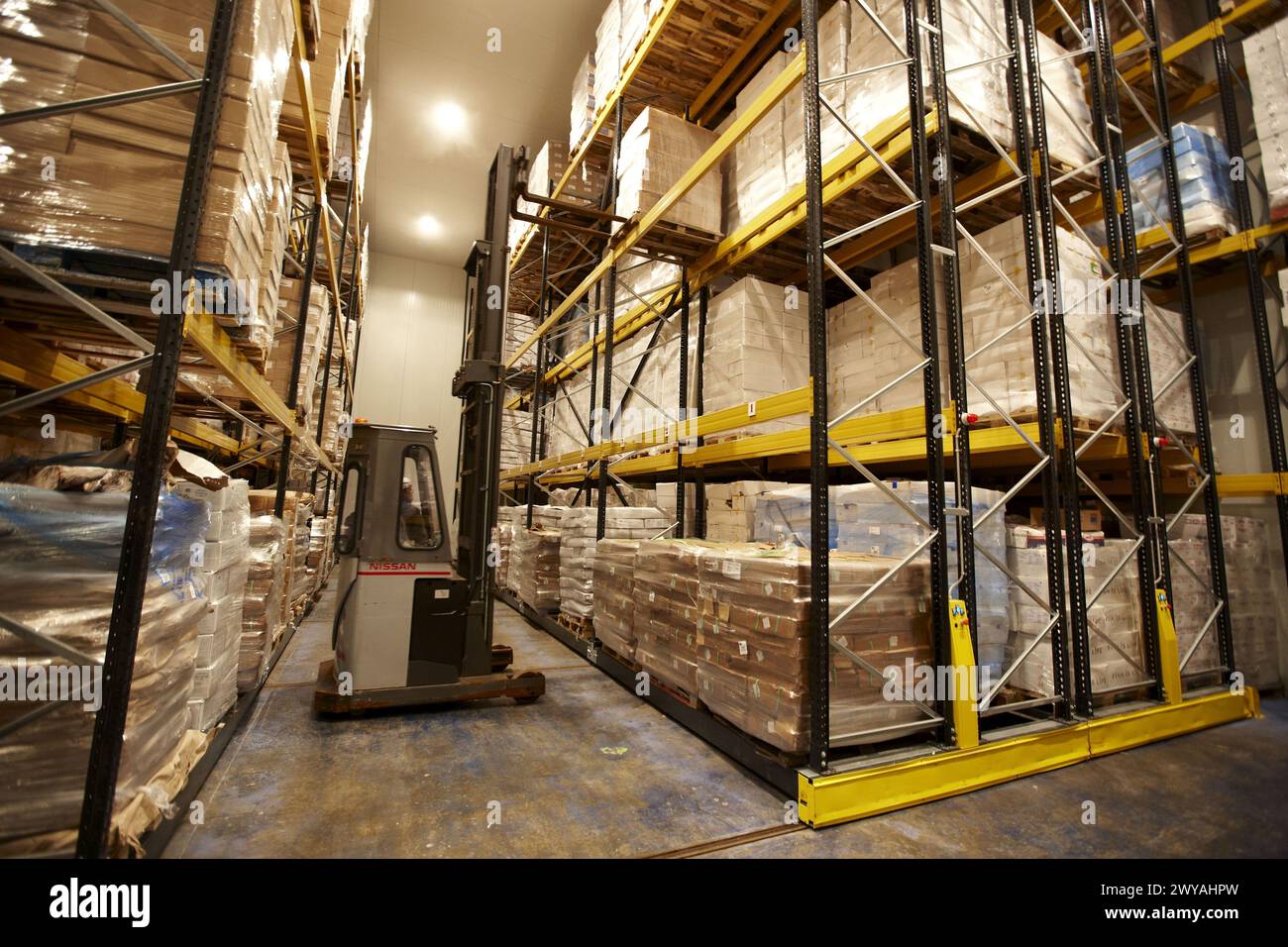 Cold-storage room, refrigerated and frozen salt cod distribution Stock ...
