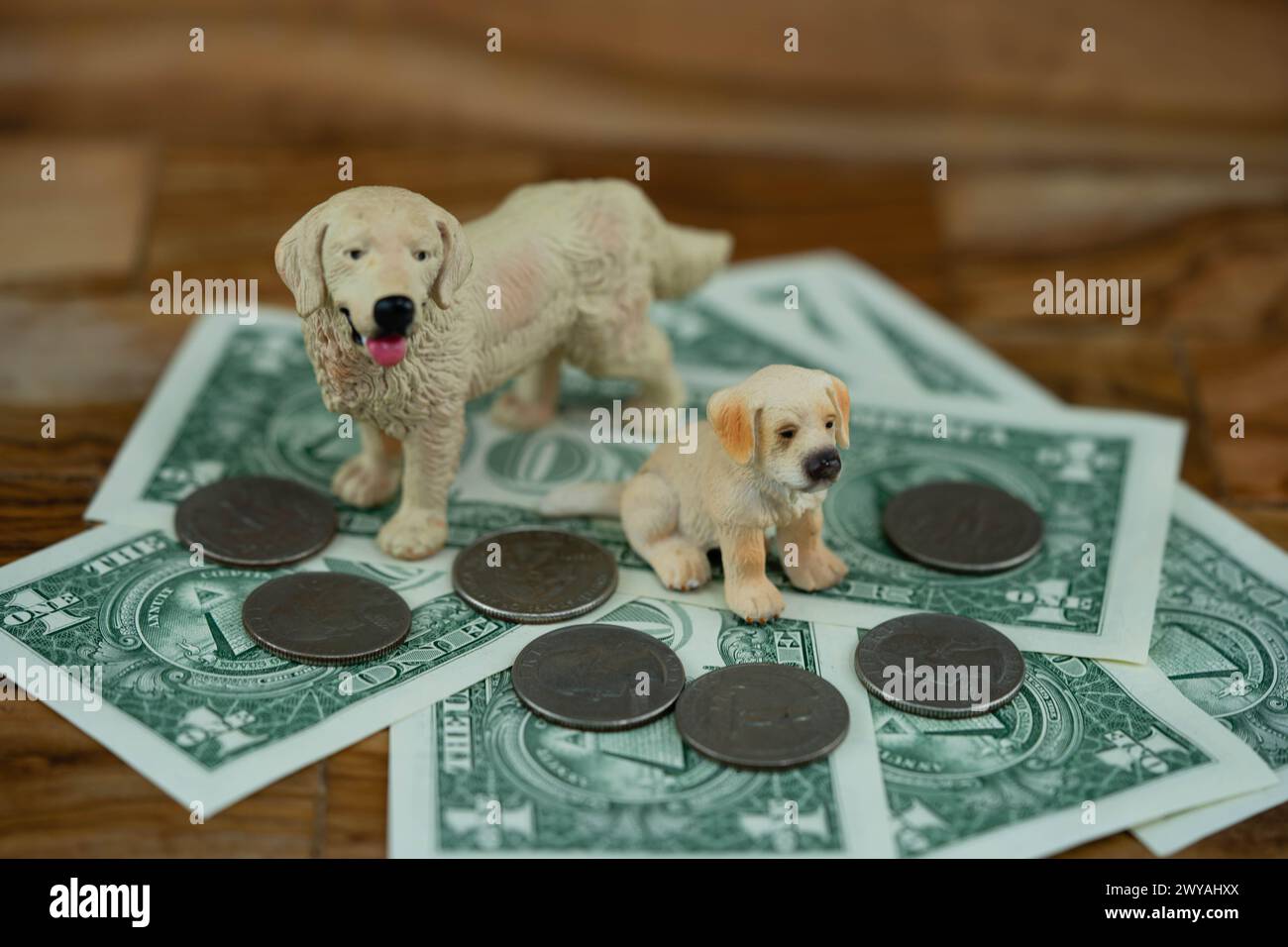 how expensive is a pet Stock Photo - Alamy